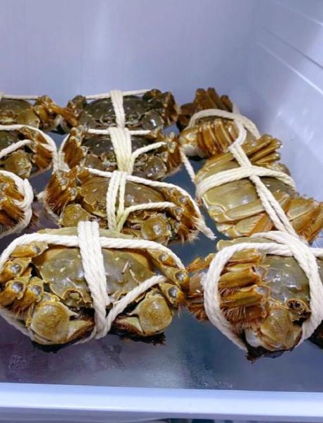 活的螃蟹怎么保存_活蟹能放冰箱吗-第1张图片-山城妙识 活的螃蟹怎么保存_活蟹能放冰箱吗-第1张图片-山城妙识