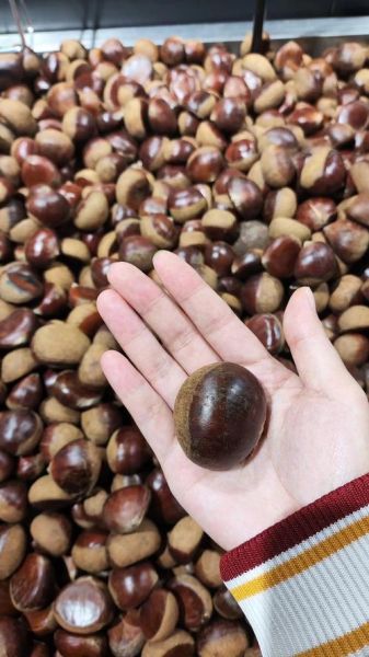 板栗的功效与作用_板栗上火吗-第3张图片-山城妙识