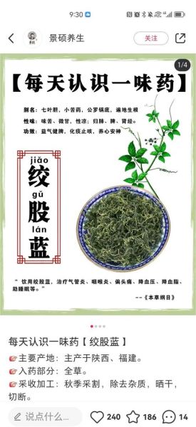 喝绞股蓝会死亡吗_绞股蓝中毒症状-第3张图片-山城妙识