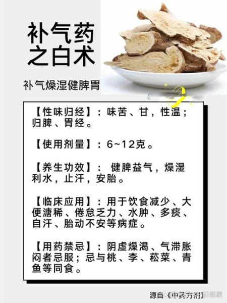 白术的副作用有哪些_白术毒性大吗-第1张图片-山城妙识 白术的副作用有哪些_白术毒性大吗-第1张图片-山城妙识