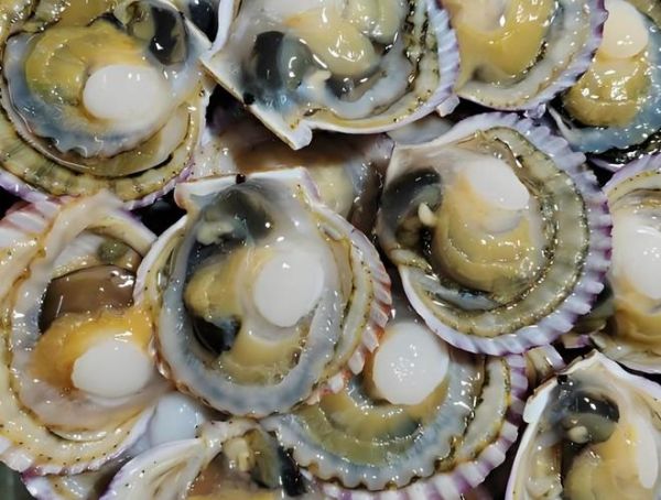 扇贝好黑_扇贝发黑还能吃吗-第1张图片-山城妙识 扇贝好黑_扇贝发黑还能吃吗-第1张图片-山城妙识