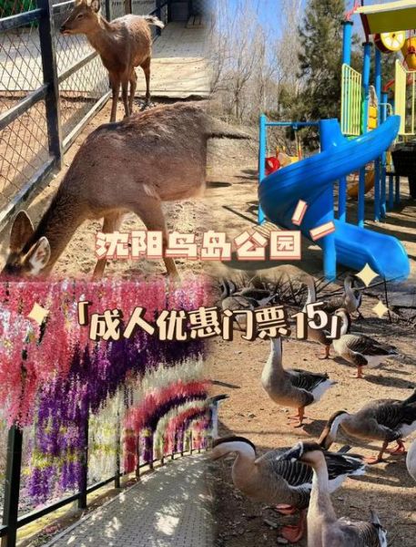 红螺湖鸟岛景区怎么去_门票多少钱-第1张图片-山城妙识 红螺湖鸟岛景区怎么去_门票多少钱-第1张图片-山城妙识