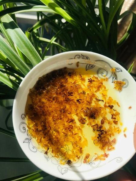 桂花蜜by居无竹全文在哪看_桂花蜜小说结局是什么-第3张图片-山城妙识 桂花蜜by居无竹全文在哪看_桂花蜜小说结局是什么-第3张图片-山城妙识