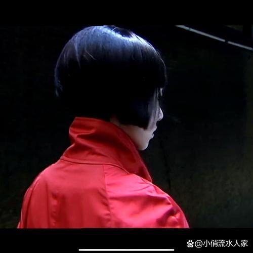 红姨吓死了多少人_红姨事件真实死亡人数-第2张图片-山城妙识 红姨吓死了多少人_红姨事件真实死亡人数-第2张图片-山城妙识