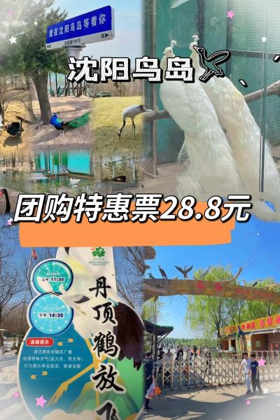 红螺湖鸟岛景区怎么去_门票多少钱-第3张图片-山城妙识 红螺湖鸟岛景区怎么去_门票多少钱-第3张图片-山城妙识