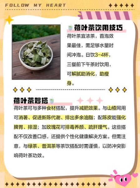 每天喝荷叶茶减肥吗_荷叶茶减肥真相-第1张图片-山城妙识 每天喝荷叶茶减肥吗_荷叶茶减肥真相-第1张图片-山城妙识