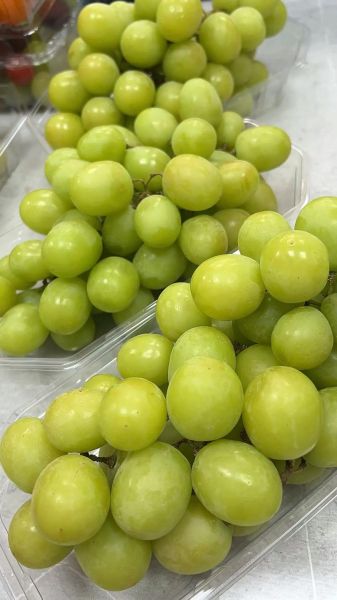 青提子热量是多少_减肥能吃吗-第2张图片-山城妙识