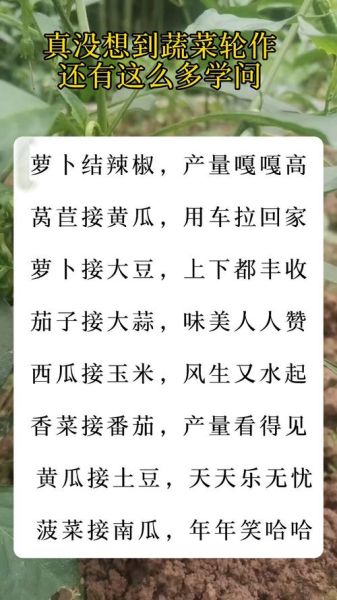 蔬菜种植技术大全_如何科学轮作与施肥-第2张图片-山城妙识 蔬菜种植技术大全_如何科学轮作与施肥-第2张图片-山城妙识