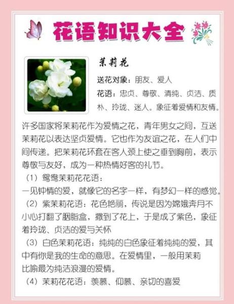 送女朋友什么花合适_鲜花花语大全-第2张图片-山城妙识