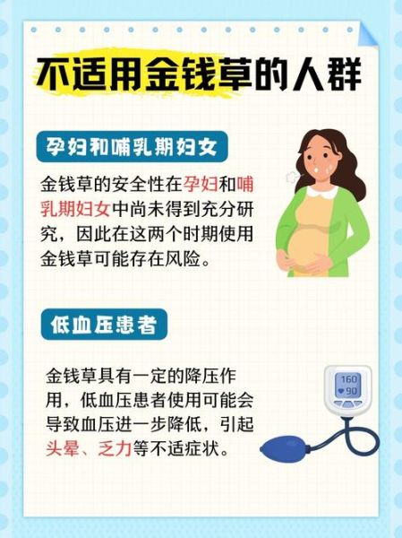 肾结石最怕一味中药_金钱草怎么用-第3张图片-山城妙识 肾结石最怕一味中药_金钱草怎么用-第3张图片-山城妙识