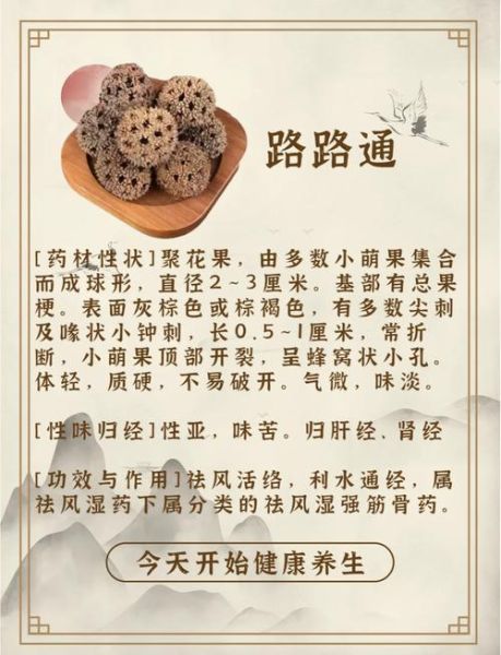 路路通的功效与作用_路路通能治哪些病-第1张图片-山城妙识 路路通的功效与作用_路路通能治哪些病-第1张图片-山城妙识