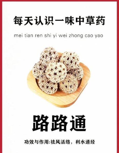 路路通的功效与作用_路路通能治哪些病-第3张图片-山城妙识 路路通的功效与作用_路路通能治哪些病-第3张图片-山城妙识