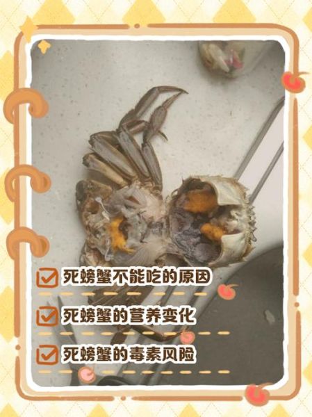 螃蟹死了当天可以吃吗_如何判断死蟹是否安全-第1张图片-山城妙识 螃蟹死了当天可以吃吗_如何判断死蟹是否安全-第1张图片-山城妙识