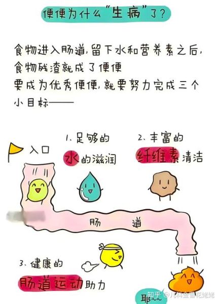 便秘了怎样能快速排便_便秘吃什么最快通便-第2张图片-山城妙识 便秘了怎样能快速排便_便秘吃什么最快通便-第2张图片-山城妙识