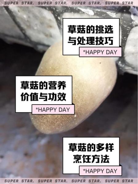草菇栽培技术_草菇怎么种产量高-第1张图片-山城妙识