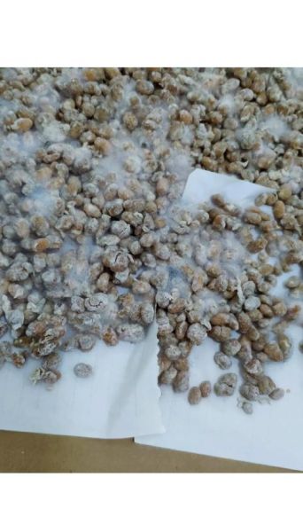 农家自制黄豆酱的做法_黄豆酱怎么保存不霉变-第3张图片-山城妙识 农家自制黄豆酱的做法_黄豆酱怎么保存不霉变-第3张图片-山城妙识