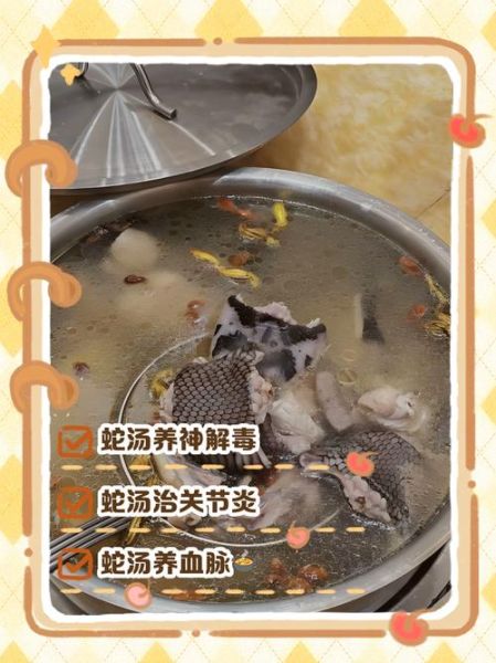 清炖蛇汤的做法_清炖蛇汤怎么做好吃-第1张图片-山城妙识 清炖蛇汤的做法_清炖蛇汤怎么做好吃-第1张图片-山城妙识