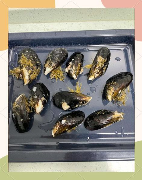 青口贝怎么煮_青口贝水煮几分钟-第1张图片-山城妙识 青口贝怎么煮_青口贝水煮几分钟-第1张图片-山城妙识