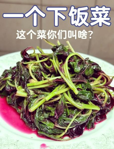 红苋菜怎么做好吃_红苋菜怎么做最有营养-第1张图片-山城妙识 红苋菜怎么做好吃_红苋菜怎么做最有营养-第1张图片-山城妙识