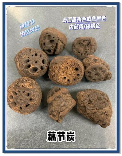 藕节炭的功效与作用_藕节炭怎么使用-第2张图片-山城妙识 藕节炭的功效与作用_藕节炭怎么使用-第2张图片-山城妙识