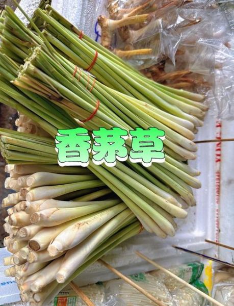 香茅吃哪个部位_香茅怎么吃最好-第1张图片-山城妙识 香茅吃哪个部位_香茅怎么吃最好-第1张图片-山城妙识